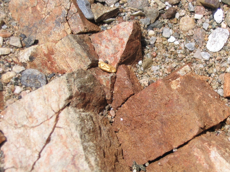 What the Aussie's call Sunbakers (Surface Gold Nuggets) - Gold Nugget ...