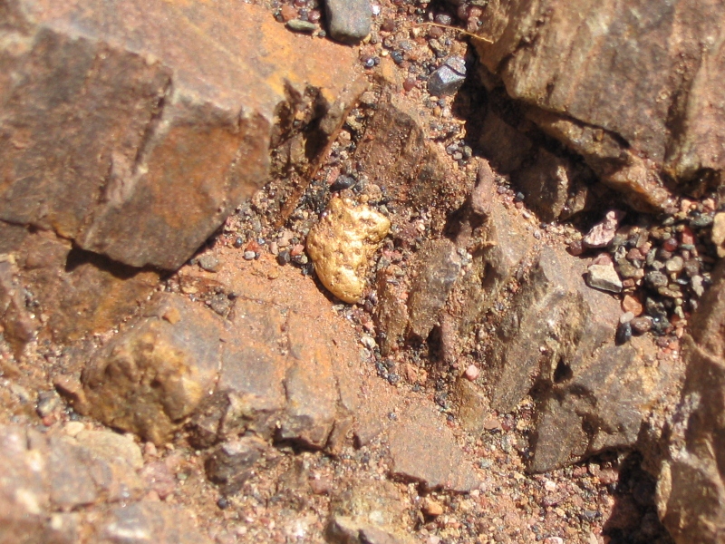 What the Aussie's call Sunbakers (Surface Gold Nuggets) - Gold Nugget ...