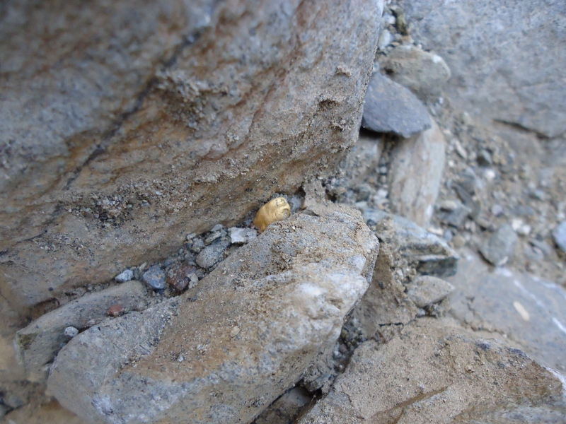 What the Aussie's call Sunbakers (Surface Gold Nuggets) - Gold Nugget ...